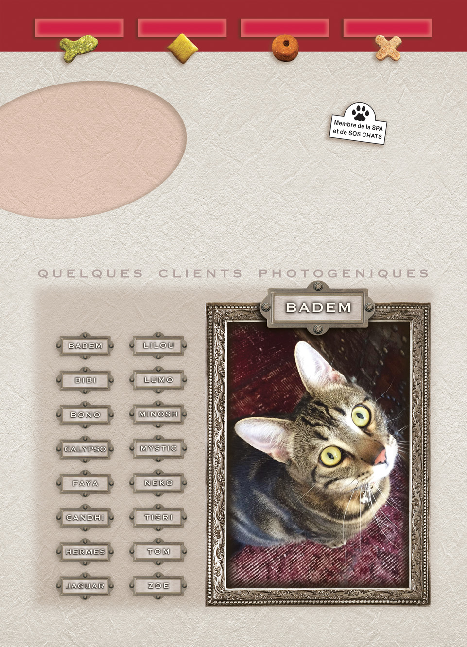 geneva-cats-service