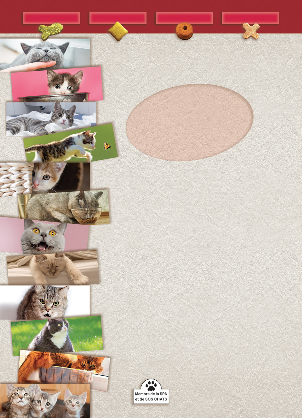 geneva-cats-service